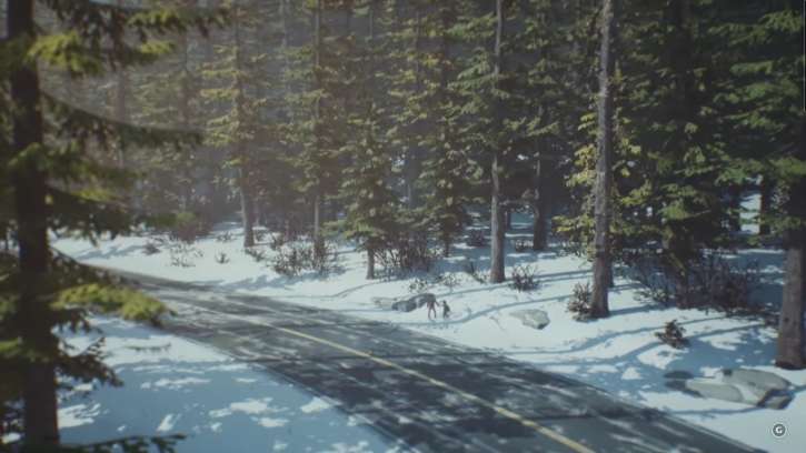 Life Is Strange 2 Announces Official Release Dates For Episodes Four ...