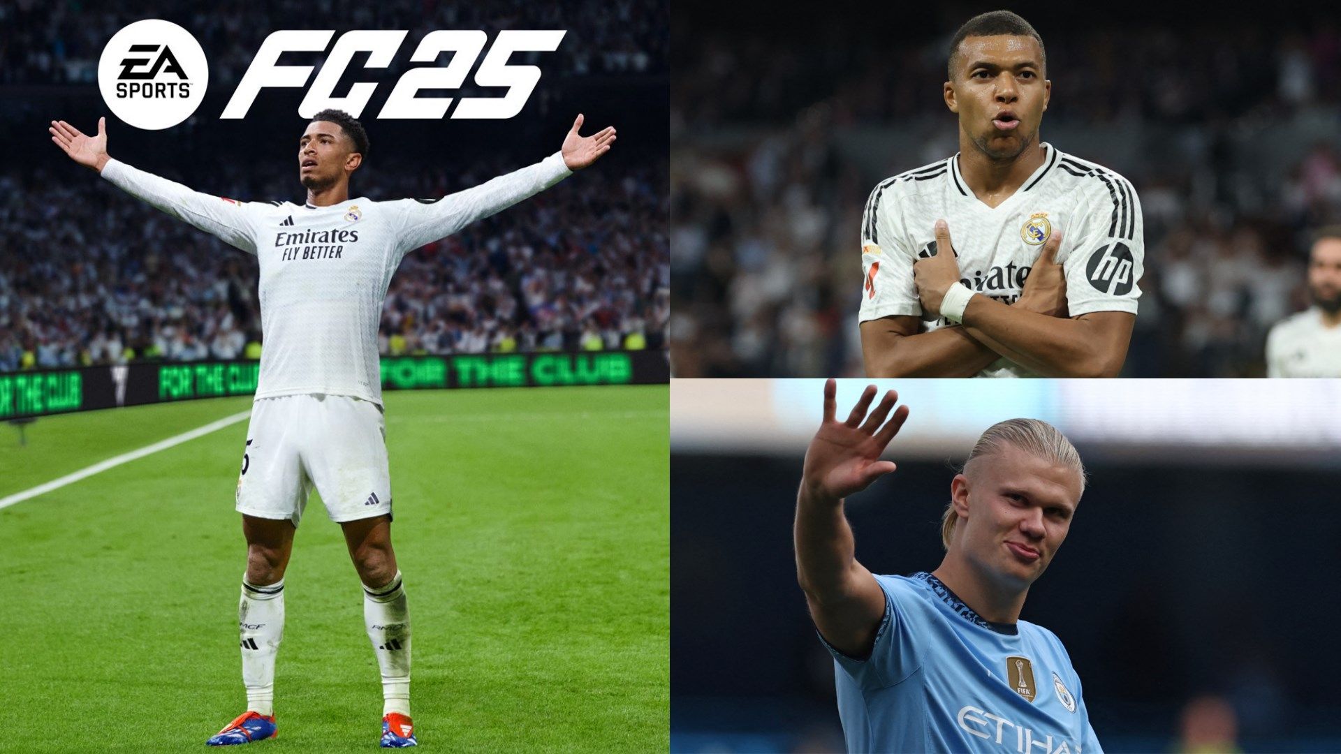 FC 25 Best Players for Box-to-Box Evolution | Happy Gamer