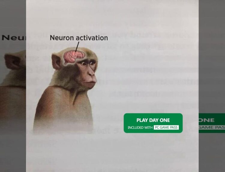 Xbox Fans Lose It Over ‘Neuron Activation’ Game Pass Meme | Happy Gamer
