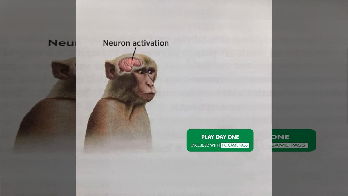 Xbox Fans Lose It Over ‘Neuron Activation’ Game Pass Meme | Happy Gamer
