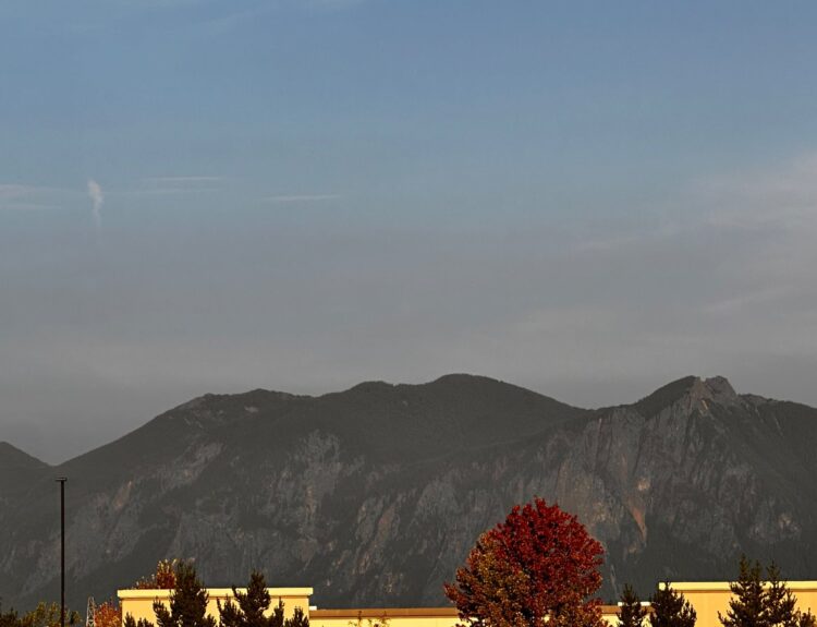 Bungie’s DMG04 Vows To Keep Grinding Amid Destiny 2 Community Backlash | Happy Gamer