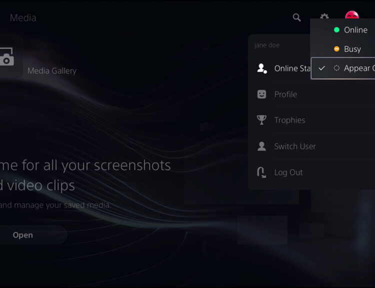 PlayStation Players Demand Better Privacy Features Like Xbox and ...