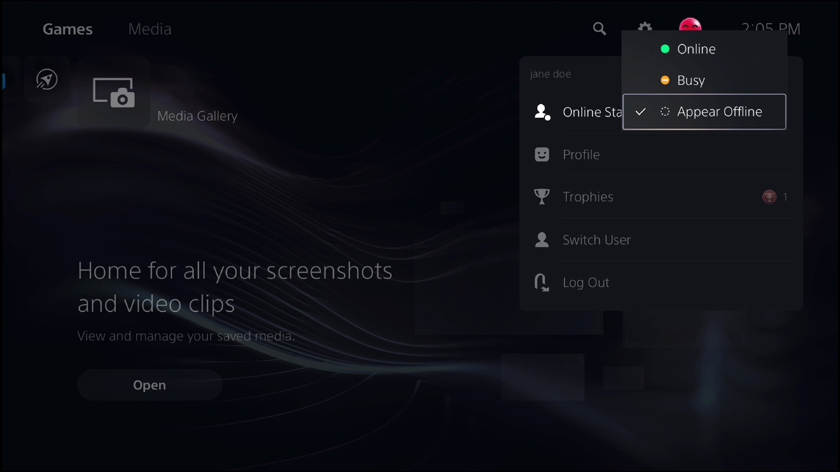 PlayStation Players Demand Better Privacy Features Like Xbox and ...
