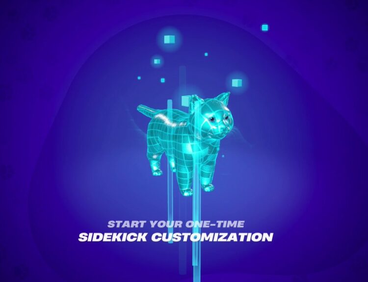 Fortnite’s New Cat Sidekick Has Players Furious Over Missing Colors ...