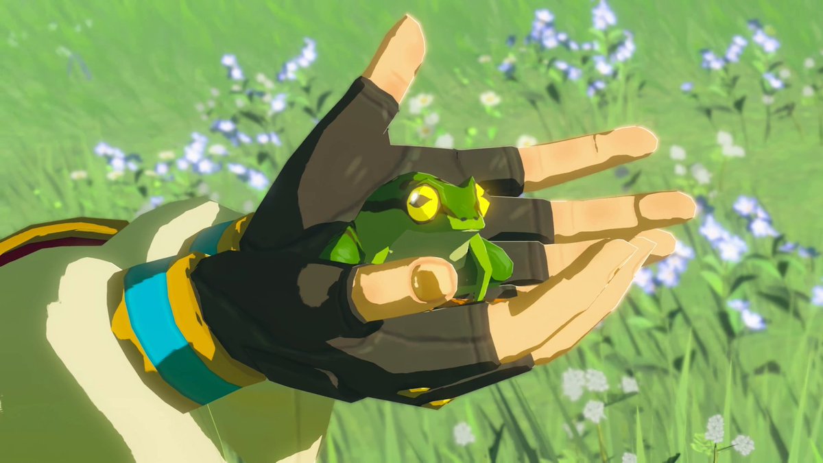 Nintendo’s Switch 2 Zelda Tease Has Gamers Going Wild Over a Frog ...